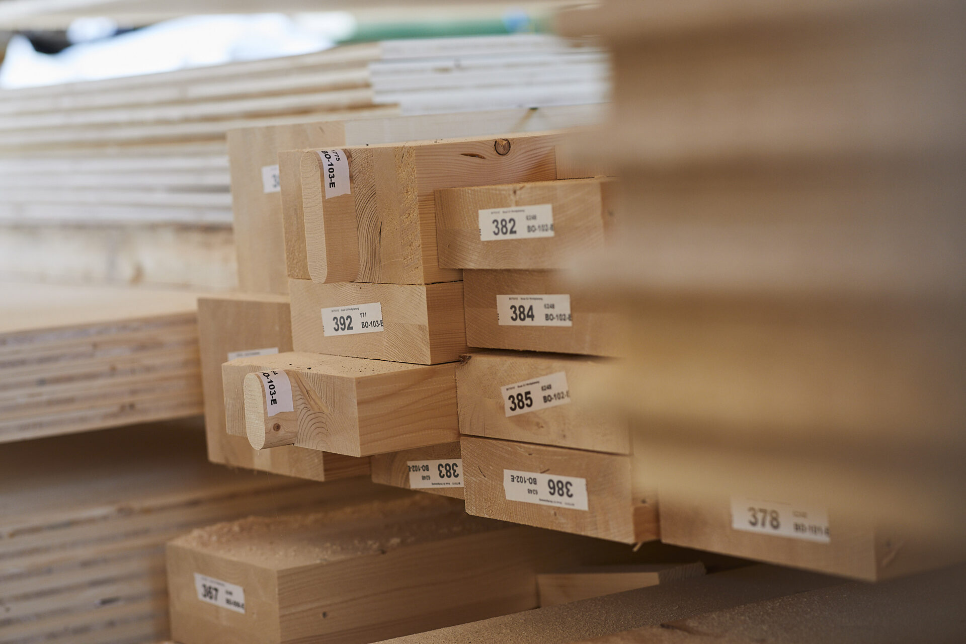 Elementbau Projekt Herbstweg-Blog Wohlgensinger AG